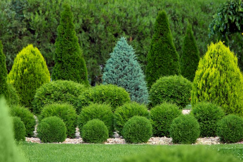 What Are the Benefits of Professional Shrub Trimming? | Bush Removal
