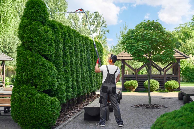 What Are the Benefits of Professional Shrub Trimming? | Bush Removal